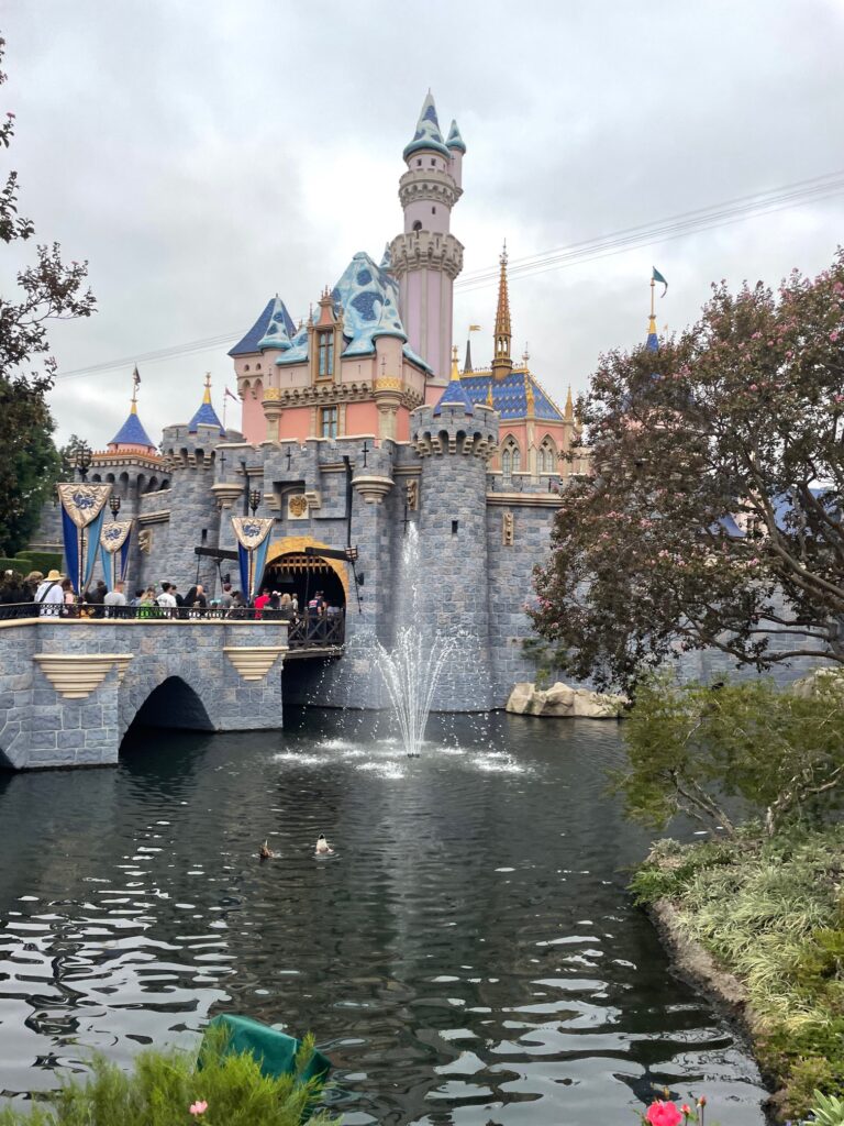 One Day at Disneyland: A Guide from a Disney Novice - Destinations ...