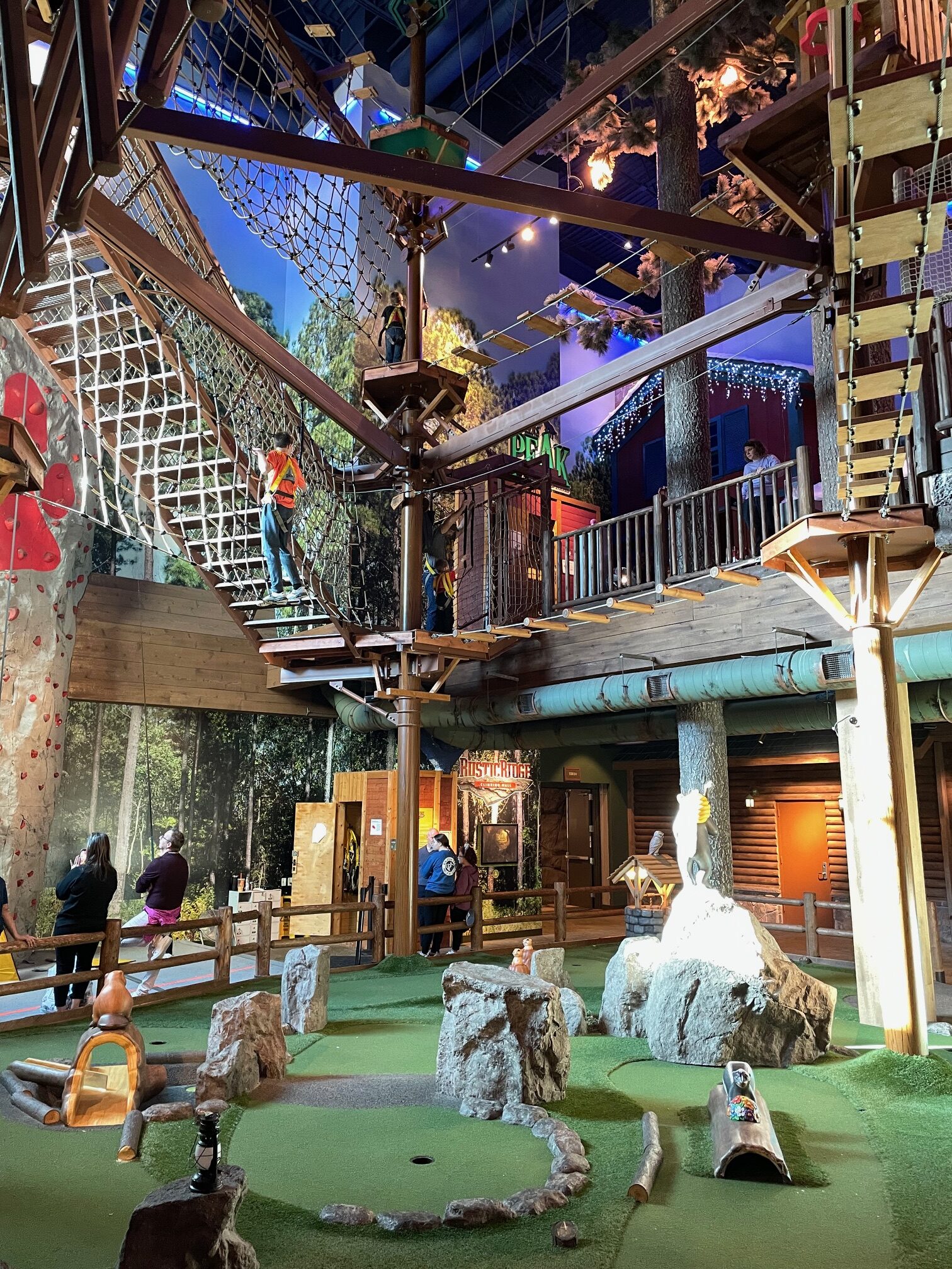 Year-Round Water Park Fun: A Review of Great Wolf Lodge in Gurnee ...